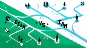 CIAM vs IAM: What is the Difference - CyberArk Developer